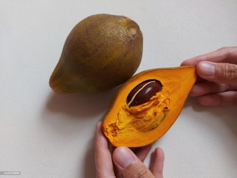 Lúcuma: ¿Qué es la lúcuma y por qué deberías considerarla como un ...